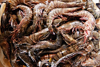 PALAWAN | The Coron Public Market - Lakad Pilipinas